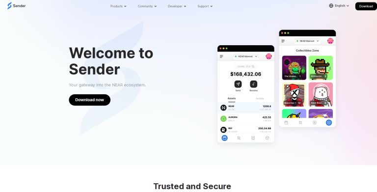 Top 8 Best Near Protocol Near Wallets In 2024
